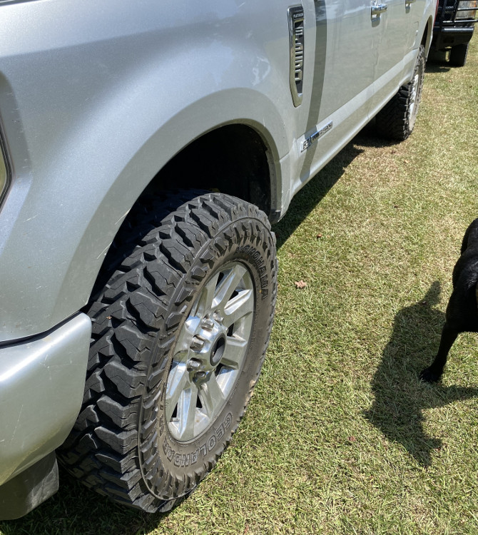 Platinum s 2019 Ford F250 Platinum